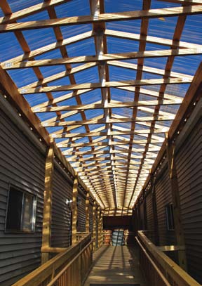 Return on Investment: Go green by implementing natural daylighting ...