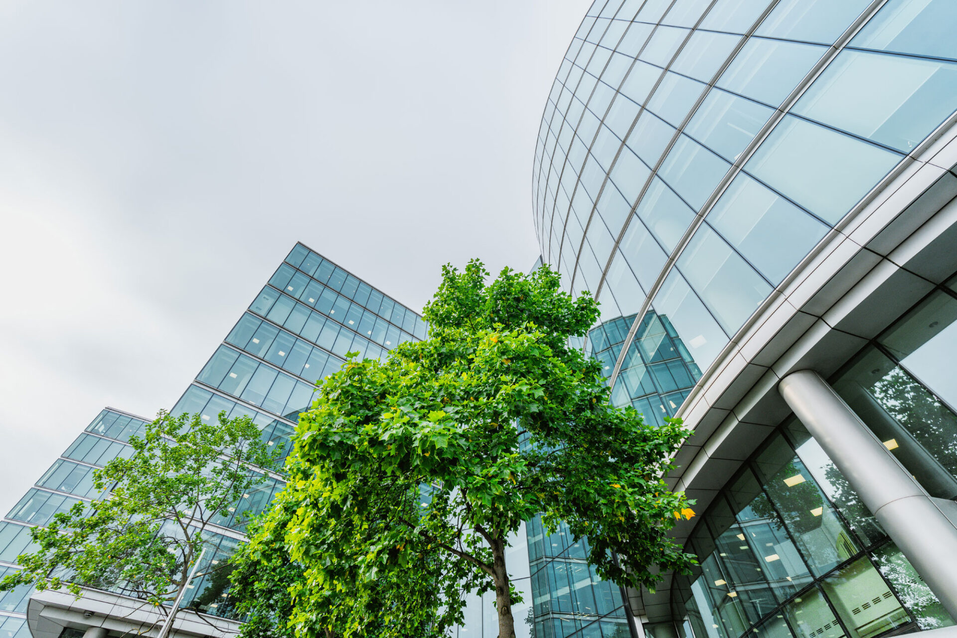 Green building organizations call for “vast majority” of buildings to ...